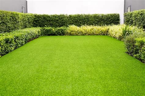 Tool To Loosen Soil For Grass Seed Your Path To A Perfect Lawn