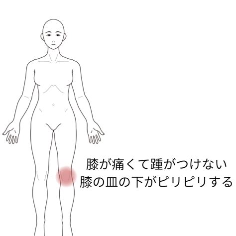 膝の痛み 踵がつけない｜膝痛のツボ｜ツボネット 鍼灸の症例が検索できるツボ辞典