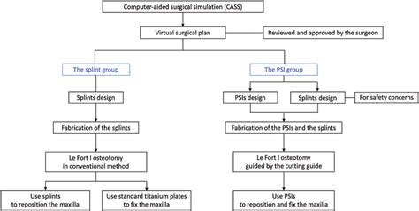 The Flowchart For The Design And Surgical Procedures Of The Two Groups