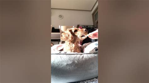 목욕하고 몸 따뜻하게 하면서 채소먹는 애기 🥬 🥕 아삭아삭 힐링 엄애기 Youtube