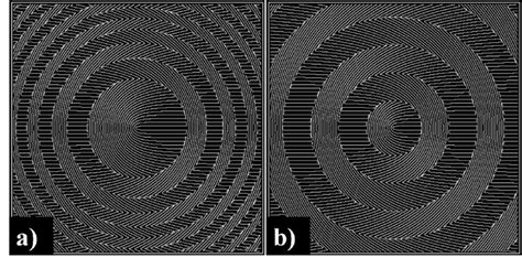 Mss For Converting The Linear Polarization Into The Radial Polarization
