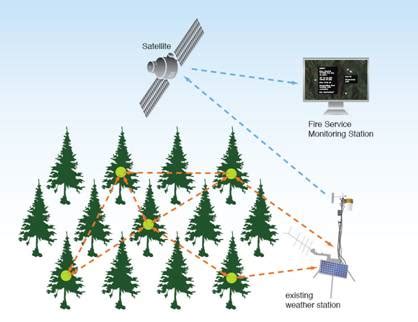 WIRELESS SENSOR NETWORKS FOR A GREEN WORLD AltEnergyMag