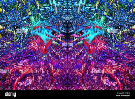 Psychedelic Tree Roots