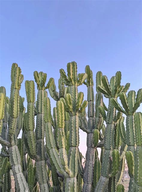 Hydrosphère Solution Dirrigation Durable