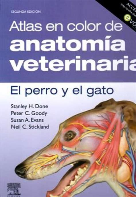 Atlas Anatomia Veterinaria Descargar Veterinaria Online