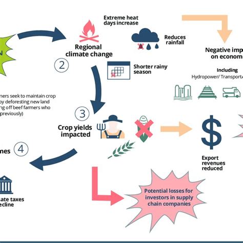 The Deforestation Rainfall Feedback Loop Source Planet Tracker
