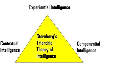 Theories Of Intelligence And Sex Differences In Intelligence March 2007