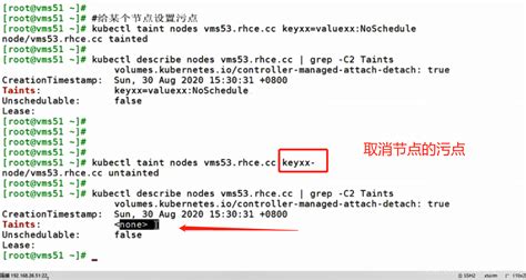 K8s之pod基本操作pod Sleep Csdn博客