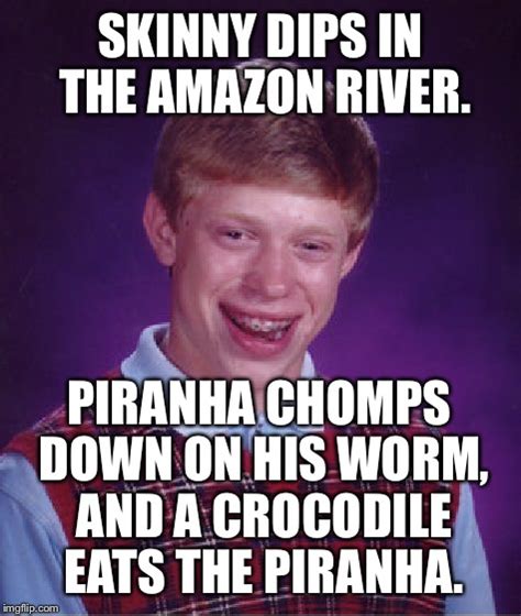 Amazon Circle Of Life Imgflip
