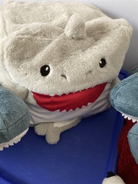 Shonks come in ALL shapes and sizes : r/BLAHAJ