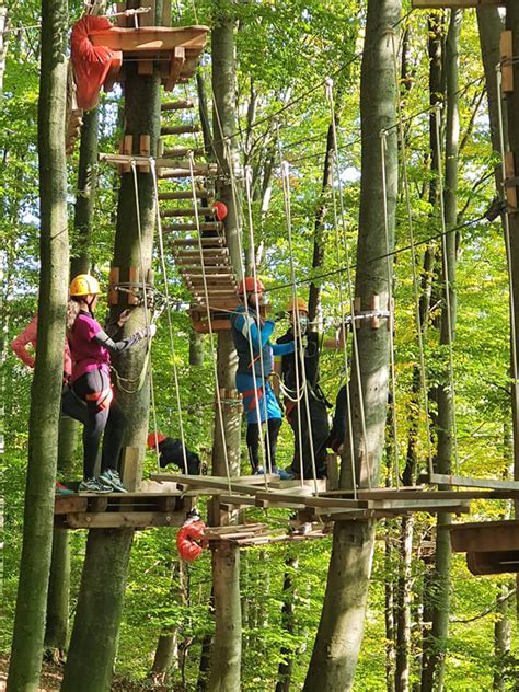Pka Berufsausweis Freizeit Kletterpark Purkersdorf
