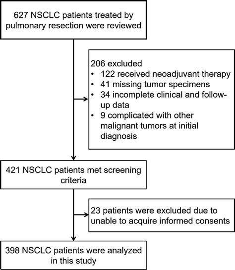 Study Flow NSCLC Nonsmallcell Lung Cancer Download Scientific Diagram
