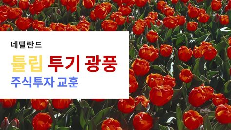 힐링자 튤립 투기 광풍에서 배우는 투자 교훈 Youtube
