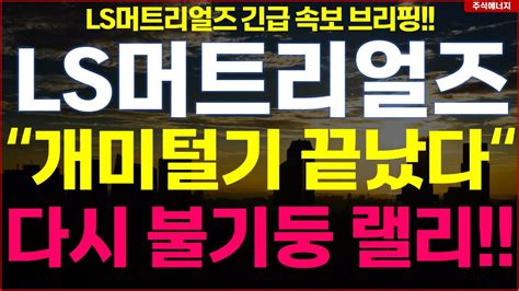 Ls머트리얼즈 개미털기 끝났다 다시 불기둥 랠리 시작 Ls머트리얼즈 긴급속보 브리핑 Youtube