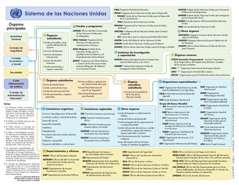 Organigrama Naciones Unidas Publicado Por El Departamento De