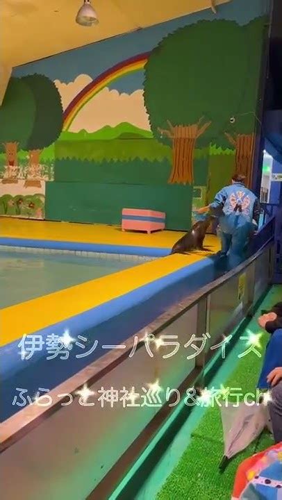 伊勢シーパラダイス アシカショーの前のエサやり Shorts Youtube