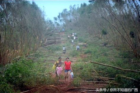 在颱風山竹來臨之際，回顧一下建國來最大登錄中國的颱風威馬遜 每日頭條