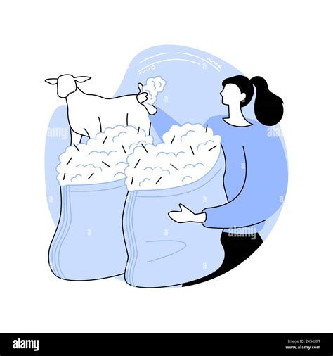 Wool Sorting And Grading Isolated Cartoon Vector Illustrations Stock