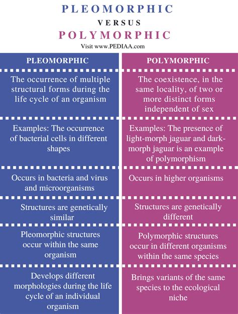 What Is The Difference Between Pleomorphic And Polymorphic Pediaa