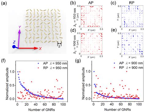 Color Online Multiplexing Light Matter Interaction Mediated By Ap And