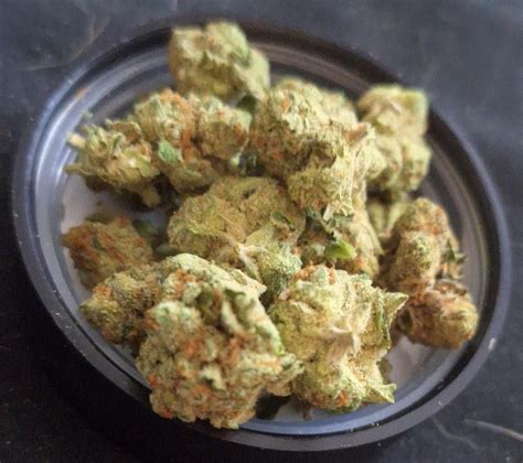 Chiesel And Black Jack Gdf Rarmmj