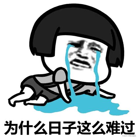 解决npm V显示空白的问题npmv Csdn博客