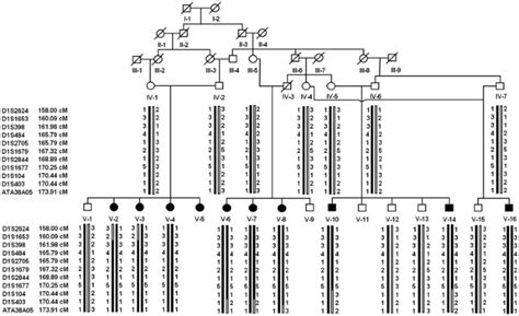 Mutation In PVRL4 Gene Encoding Nectin 4 Underlies Ectodermal Dysplasia