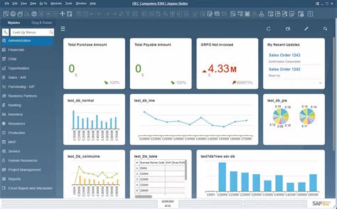 Sap Business One Partner Sap Business One Implementation And Support In Chennai India Avaniko
