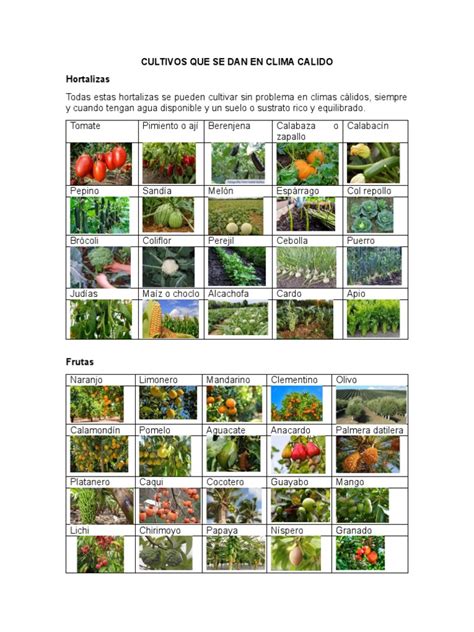 Cultivos Que Se Dan En Clima Calido Pdf
