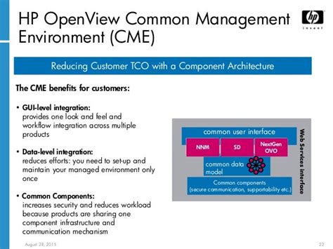Agent Less System And Application Monitoring With Hp Openview