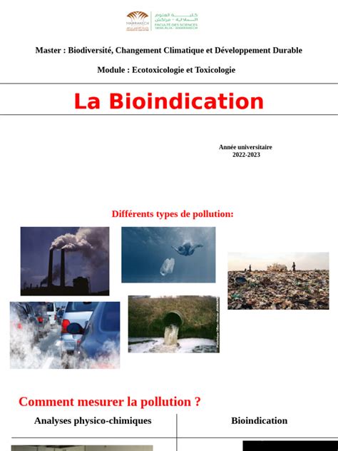 La Bioindication Ecotoxicologie Pdf Environnement Naturel