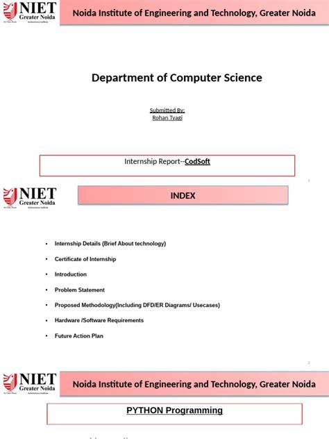 internship project pdf computer programming software