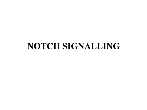 Notch Signaling Lateral Inhibition Pptx