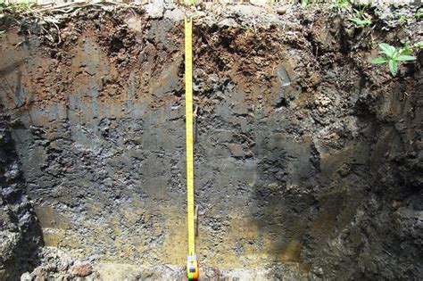 Discussion Forum Sedimentology And Stratigraphy
