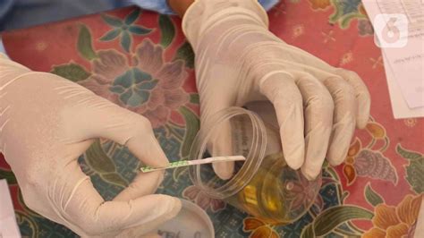 FOTO Pengemudi Bus Di Terminal Kampung Rambutan Jalani Tes Urine