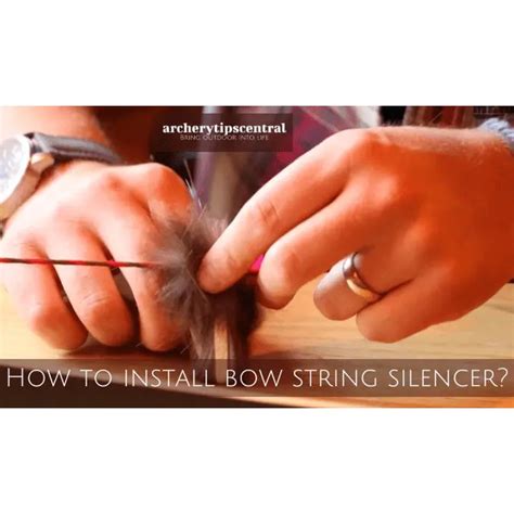 Archery Tips Central Archerytipscentral • Instagram Photos And Videos