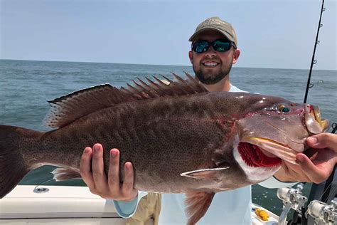 Grouper Fishing Charters In Venice La Paradise Outfitters