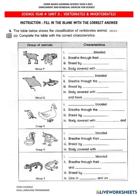 Year 4 Science Vertebrates And Invertebrates Worksheet Invertebrates