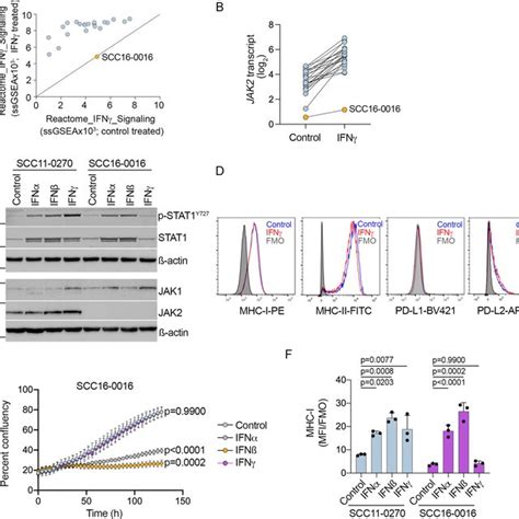 Intrinsic IFNγ signaling in seven PD PROG cell lines A ssGSEA score Download Scientific