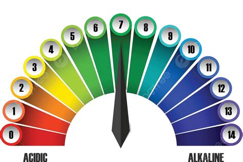A Ph Scale On White Background Test Scale Balance Vector Test Scale Balance Png And Vector