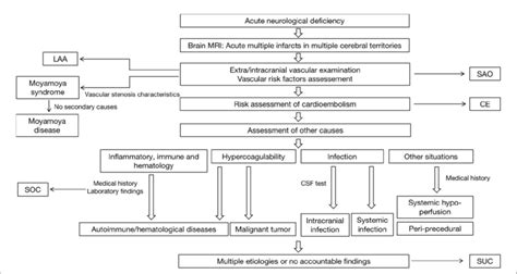 FIGURE The Diagnostic Algorithm Of AMIMCT In Clinical Work LAA Large