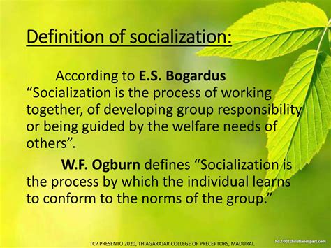 Agencies Of Socialization Pptx