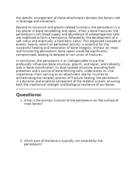 Role Of Periosteum In Bone Structure And Classification Reading Worksheet