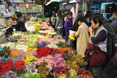 內湖花市 背包地圖