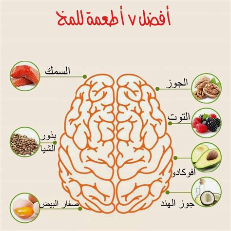 زبادي ومشي أفضل ٧ أطعمة لمخ سليم وصحي وذاكرة قوية😇 أضف منهم واحد على
