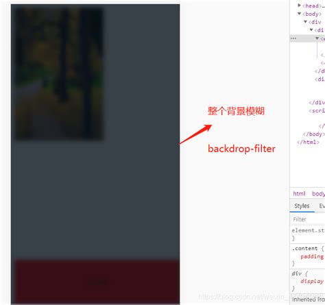 Backdrop Filter 和filter 写出高斯模糊效果 以及两者区别backdrop Filter Blur5px Csdn博客