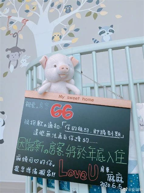 快訊／安以軒懷上第二胎！告知兒子「新房客將入住」 娛樂 Nownews今日新聞