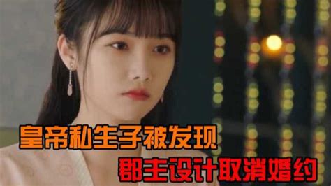 皇上私生子被发现，郡主想用此让太皇太后取消婚约腾讯视频