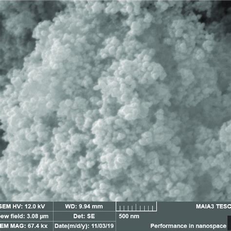 SEM Micrograph Of TiO NPs Download Scientific Diagram
