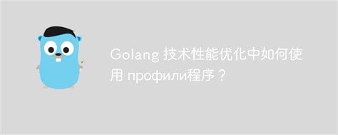 Golang 技术性能优化中如何使用 профили程序？ 叮当号
